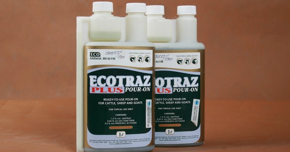 Ecotraz plus pour on
