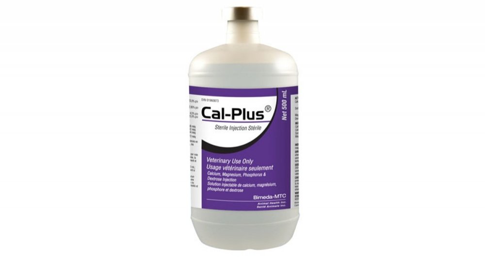 Cal plus